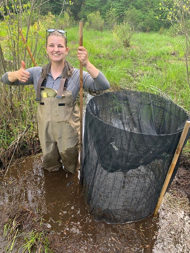 Schmidt, Ella – Freshwater and Marine Sciences – UW–Madison